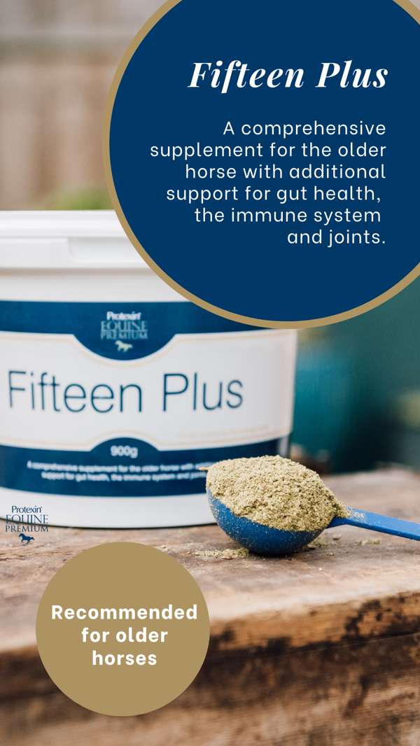 Protexin Fifteen Plus 900g – Equi Supermarket